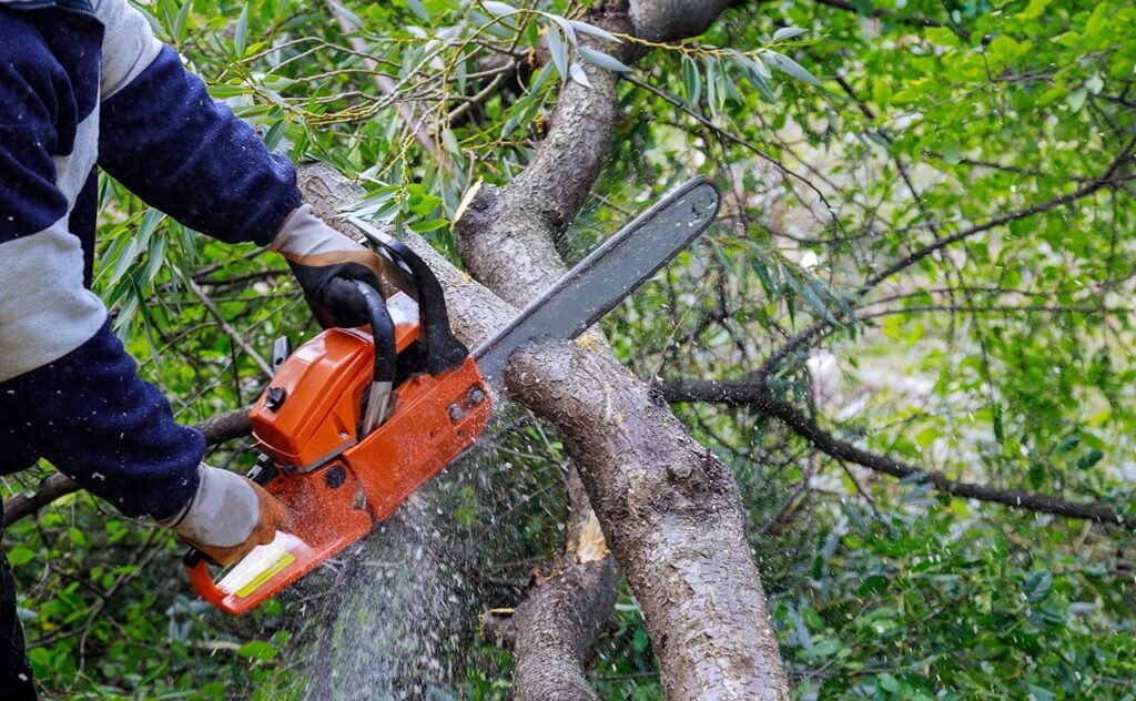 How To Fell A Leaning Tree