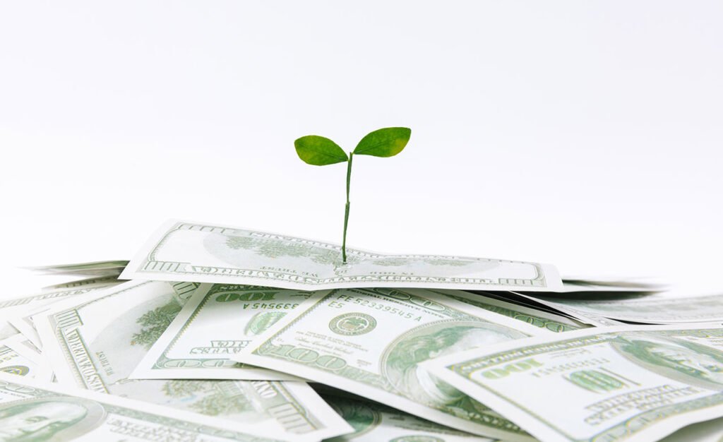 How To Braid A Money Tree (When And Why You Should Do This!)