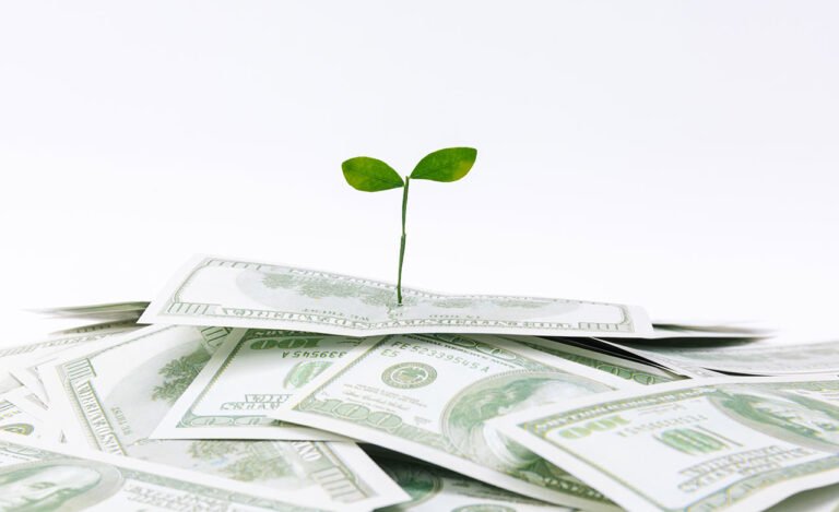 How To Braid A Money Tree (When And Why You Should Do This!)