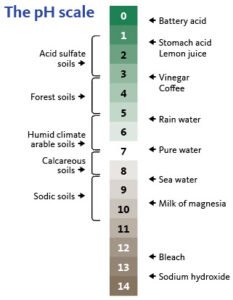 How To Lower pH In Soil Fast