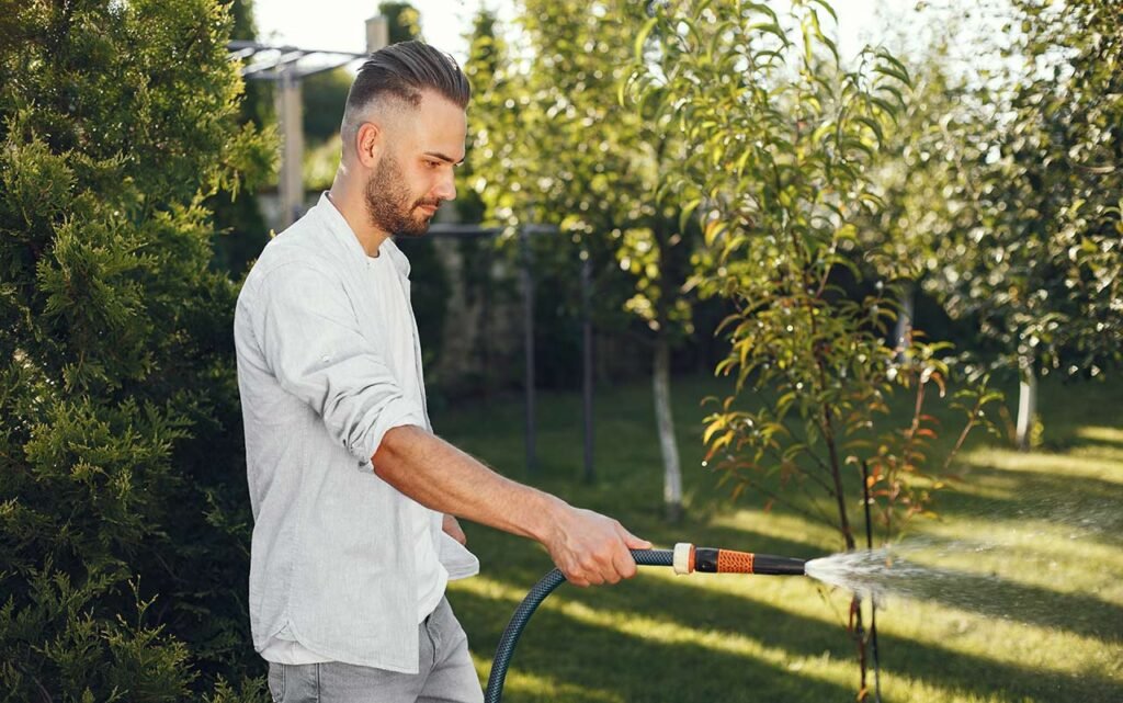 How And When To Apply Liquid Iron For Lawns