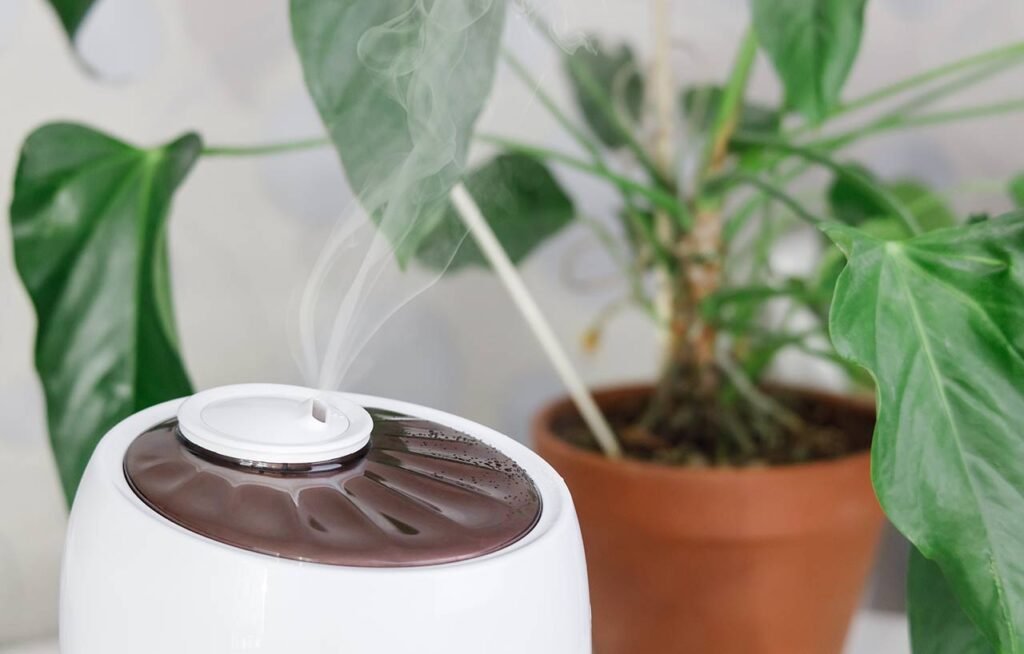The Best Humidifiers For Houseplants (2024)