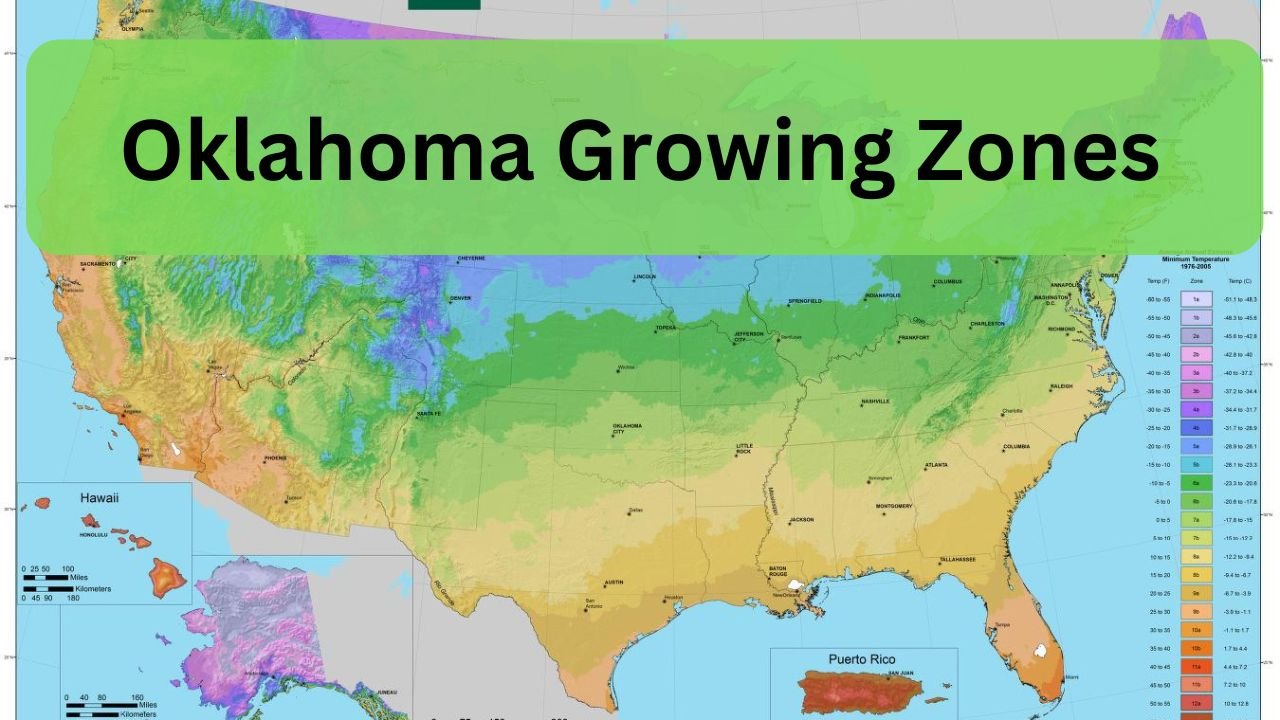Planting Zones in Oklahoma: What To Know