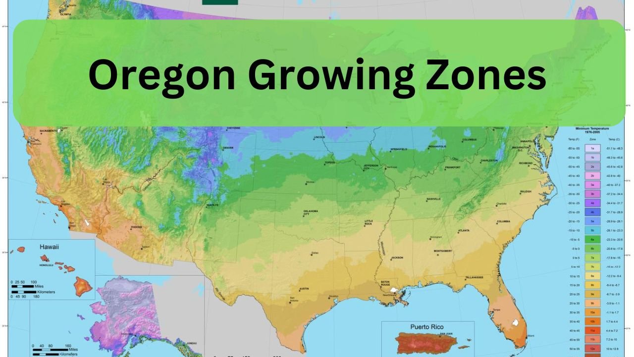 Planting Zones in Oregon: What You Need to Know
