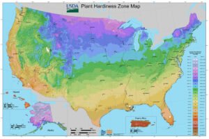 Planting Zones in Alaska: What You Need to Know