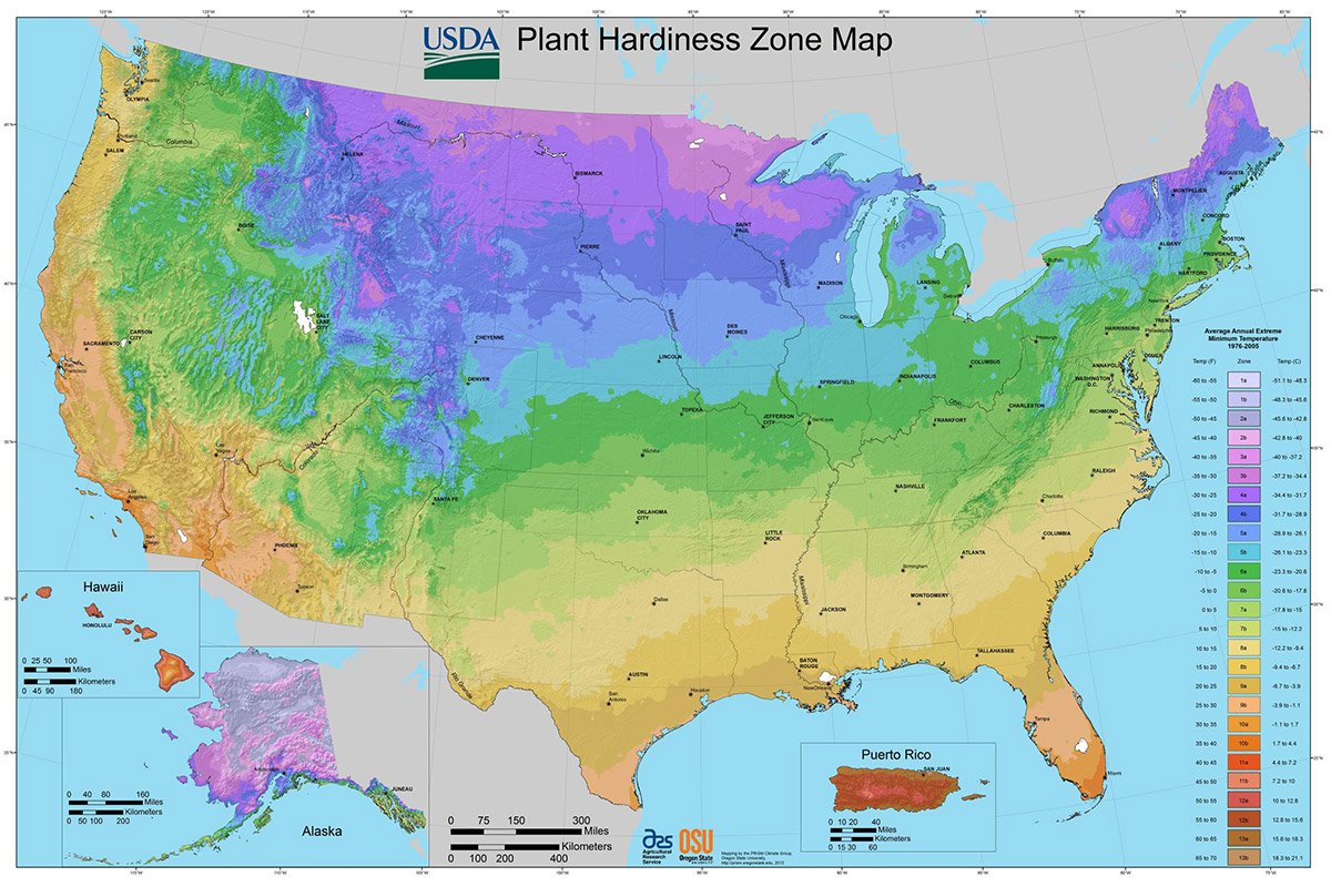 Planting Zones in Alabama: Understanding The State's Growing Regions ...