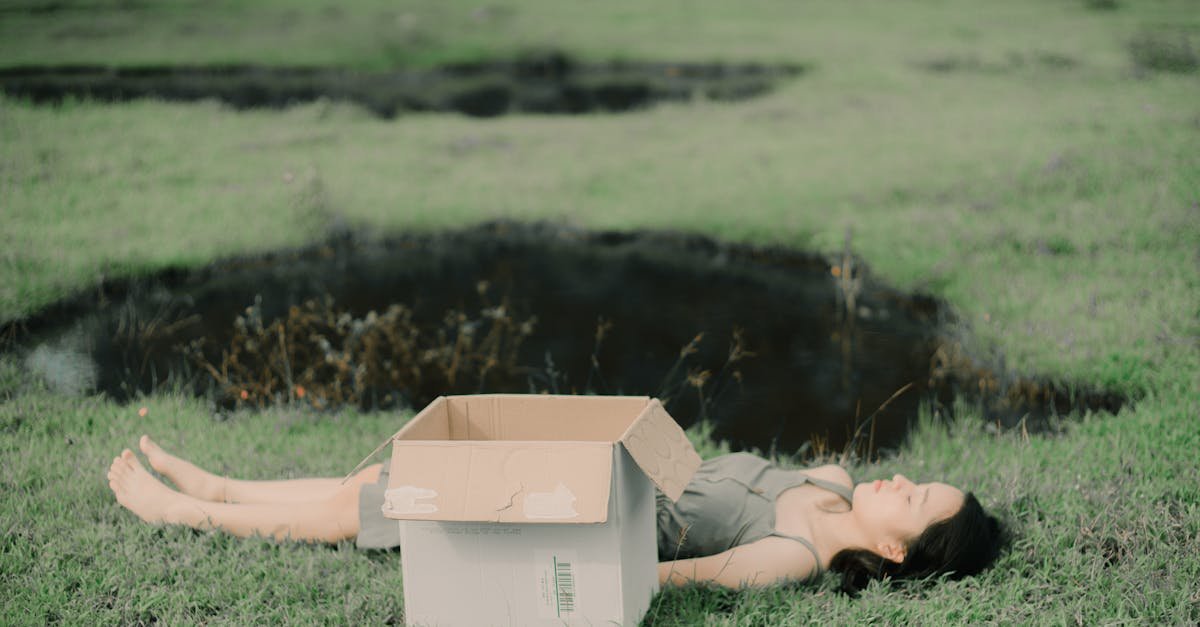 Can Cardboard Kill Grass? Transform Your Garden in 2-4 Months