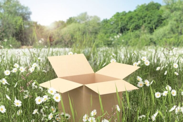 Can Cardboard Kill Grass? Transform Your Garden in 2-4 Months