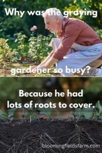 Dad-Joke-Worthy Plant Puns for Father's Day