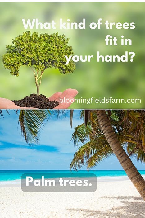 Dad-Joke-Worthy Plant Puns for Father's Day