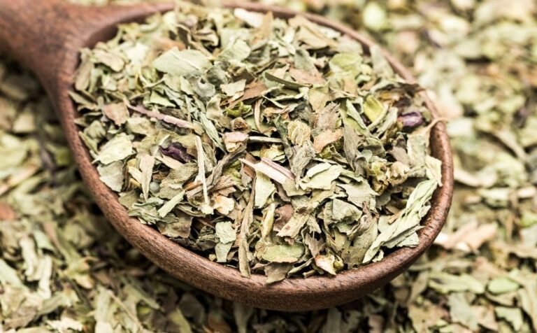 5 Ways to Dry Basil at Home and Preserve Its Freshness