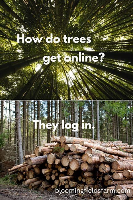 Dad-Joke-Worthy Plant Puns for Father's Day