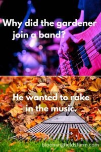 Dad-Joke-Worthy Plant Puns for Father's Day